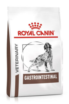 Royal Canin Gastrointestinal dog 2kg