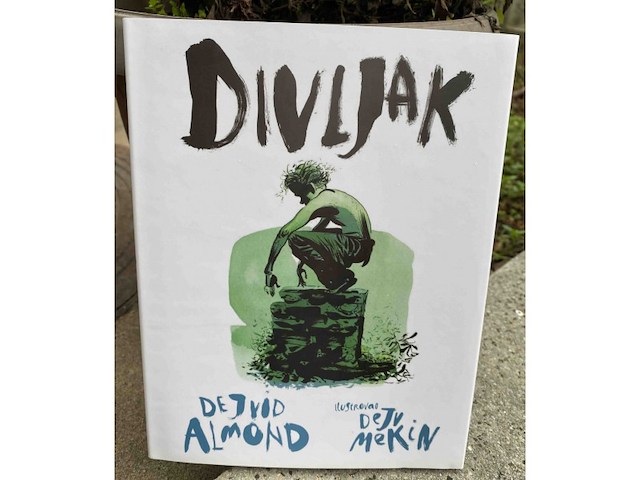 Divljak - Dejvid Almond - Dejv Mekin