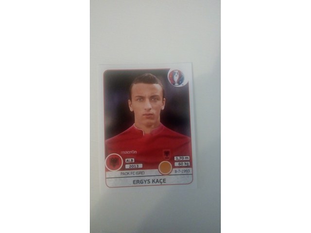 Panini EURO 2016 sličica broj 083