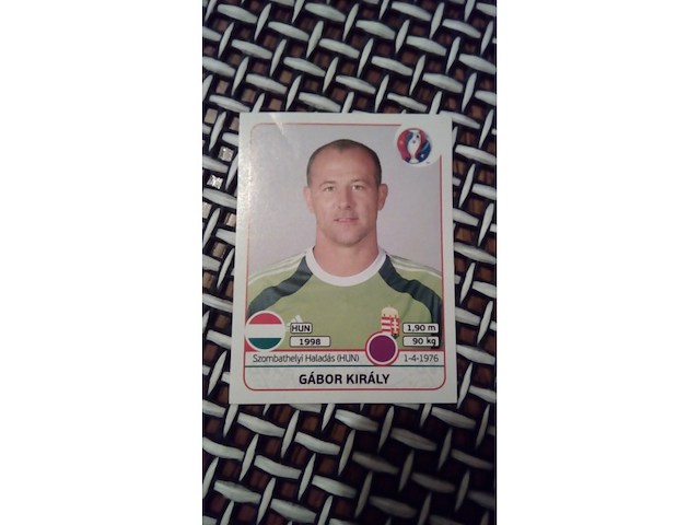 Panini EURO 2016 sličica broj 661