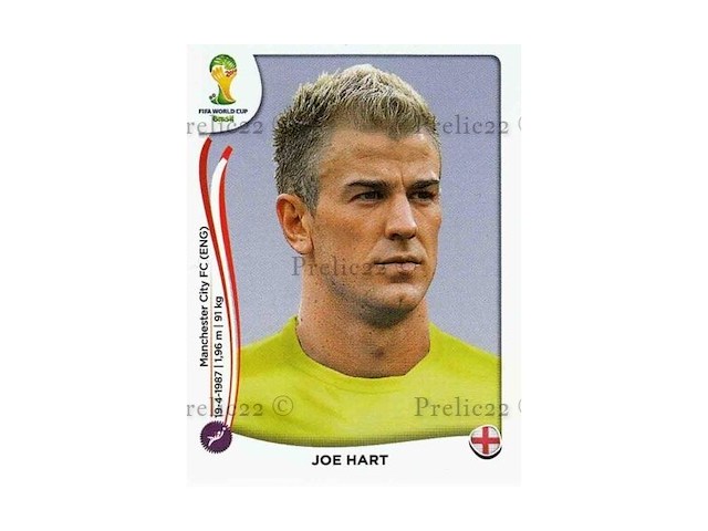 BRAZIL Brasil FIFA WC 2014 sličica broj 300, Panini