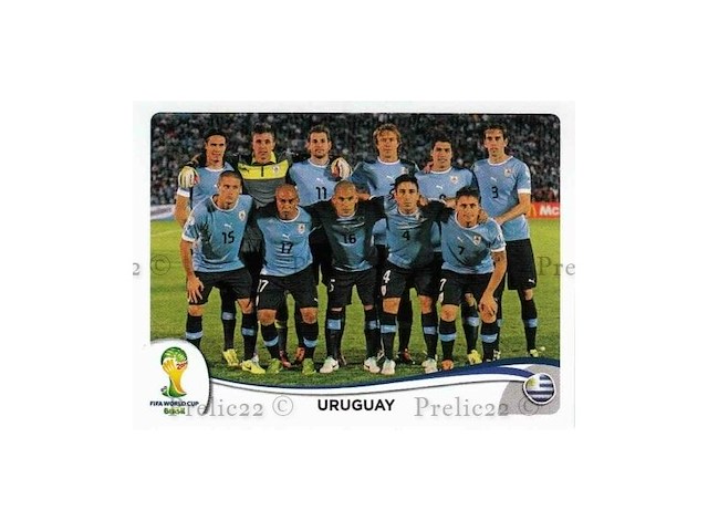 BRAZIL Brasil FIFA WC 2014 sličica broj 261, Panini