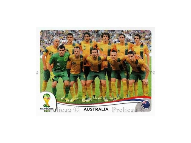 BRAZIL Brasil FIFA WC 2014 sličica broj 166, Panini