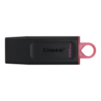 256 GB 3.2, Kingston DTX/256GB
