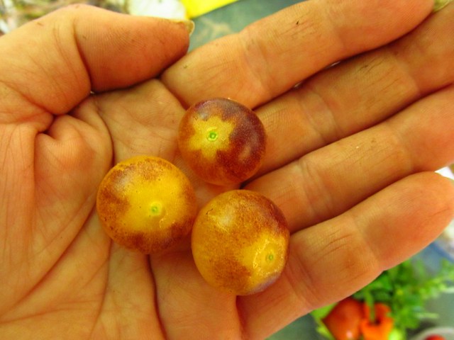 Amethyst cream cherry paradajz, seme 15 komada