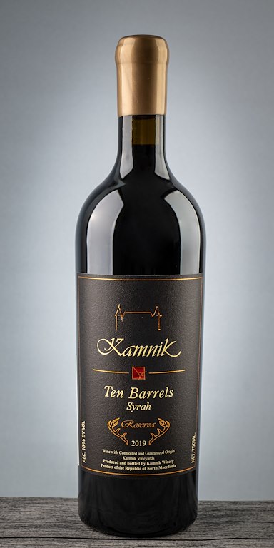 Shiraz ten barrels Kamnik