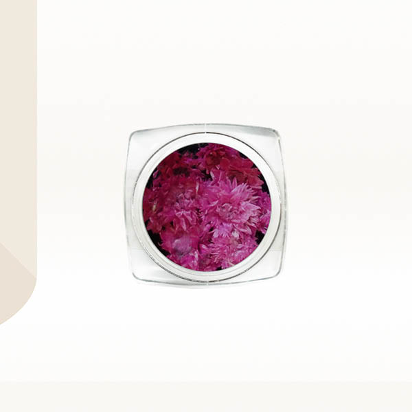Ukrasno cveće za nokte - Tamno pink hrizantema
ULTRAGROUP PRO KLUB