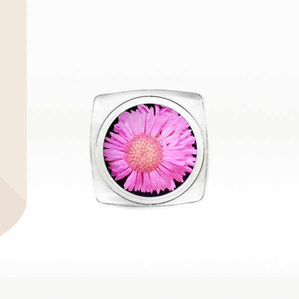Ukrasno cveće za nokte - Pink krasuljak
ULTRAGROUP PRO KLUB