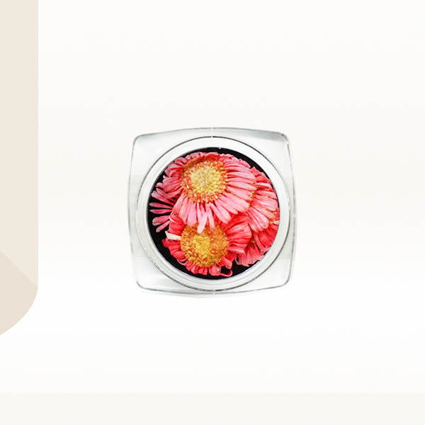 Ukrasno cveće za nokte - Crveni krasuljak
ULTRAGROUP PRO KLUB
