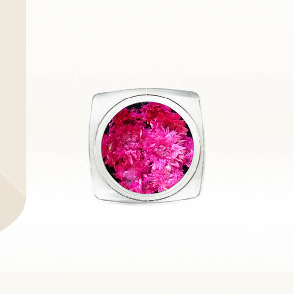 Ukrasno cveće za nokte - Svetlo pink hrizantema
ULTRAGROUP PRO KLUB
