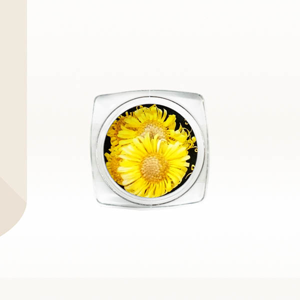 Ukrasno cveće za nokte - Žuti krasuljak
ULTRAGROUP PRO KLUB