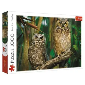 Trefl Trefl puzzle 1000 delova - Owls (10603)