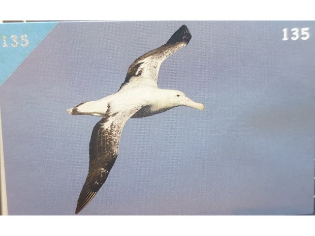 ŽIVOTINJSKO CARSTVO 2016 br.135 Albatros lutalica