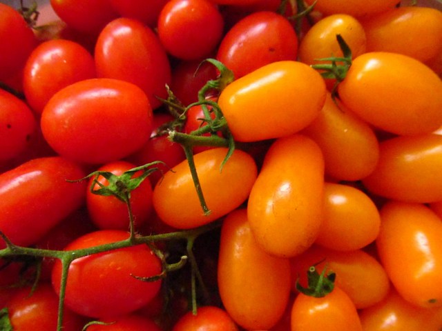 paradajz suzice narandžasti i crveni mix, seme 20 komad