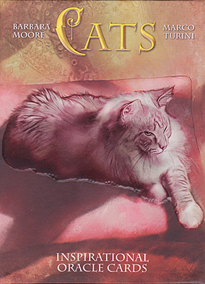 Proročanstvo mačaka - Barbara Moore