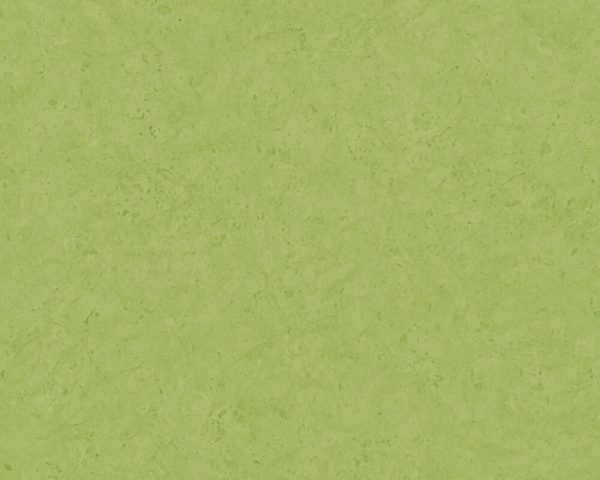 Livingwalls Wallpaper «Uni, Green» 378658