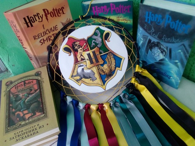 Hari Poter Harry Potter hvatac snova