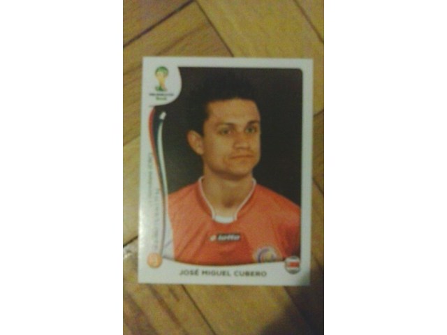 Panini FIFA 2014 Brazil sličica broj 290