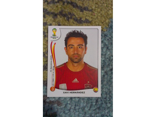 Panini FIFA 2014 Brazil sličica broj 118