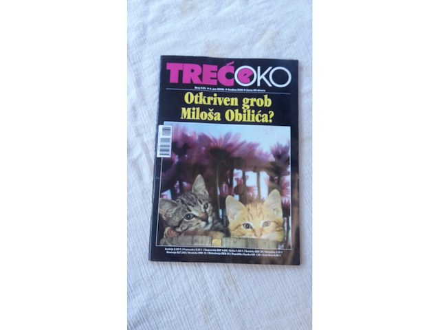 TRECE OKO 2006.G.