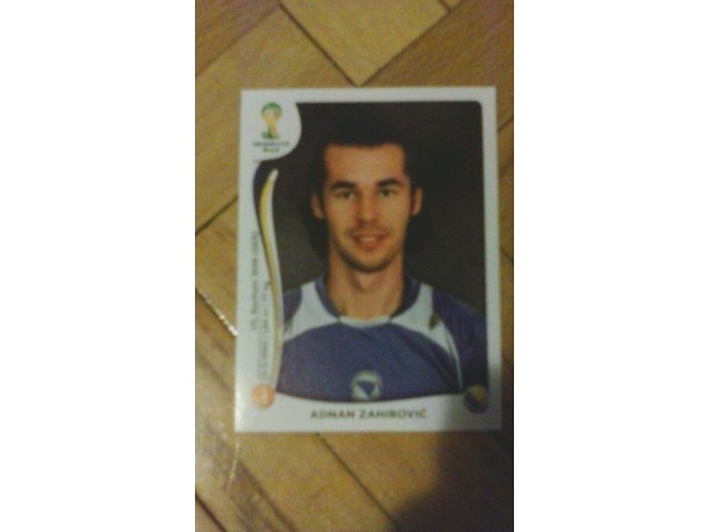 Panini FIFA 2014 Brazil sličica broj 446