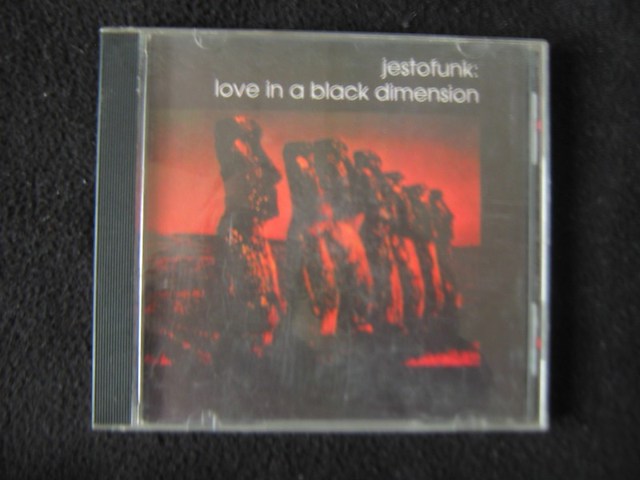 LOVE IN A BLACK DIMENSION
