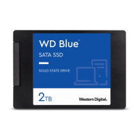 2 TB Western Digital WDS200T2B0A