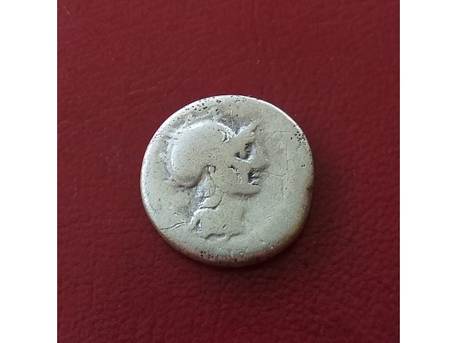 M. CIPIUS denarius
