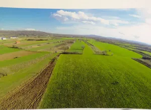 Prodaja Ostale nekretnine - Svilajnac, Centar