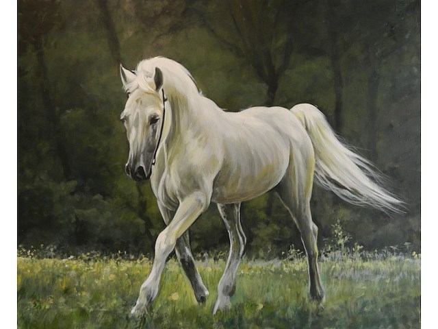 slika `konj`