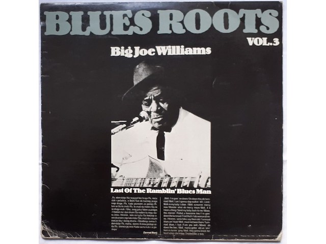 BIG JOE WILLIAMS - Last of the ramblin`blues man