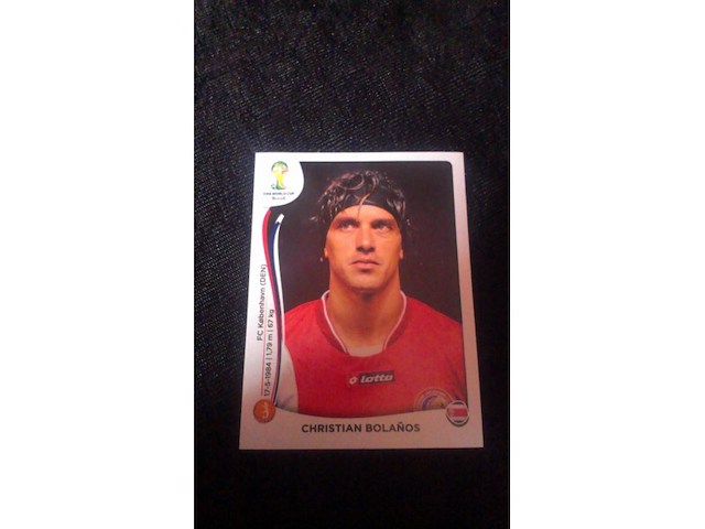 Panini FIFA 2014 Brazil sličica broj 289