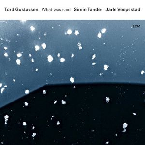 Tord Gustavsen