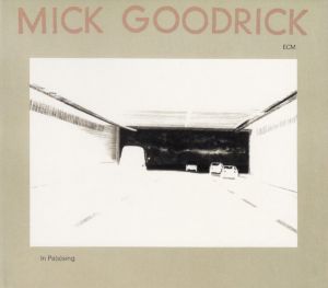 Mick Goodrick