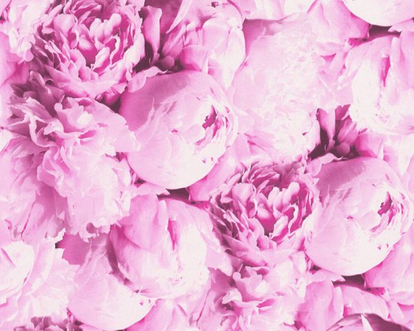 A.S. Création Wallpaper «Flowers, Pink» 373981