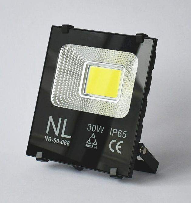 Reflektor LED 30W NB-50-068