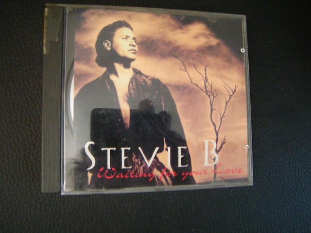 CD - STEVIE B - WAITING FOR YOUR LOVE
