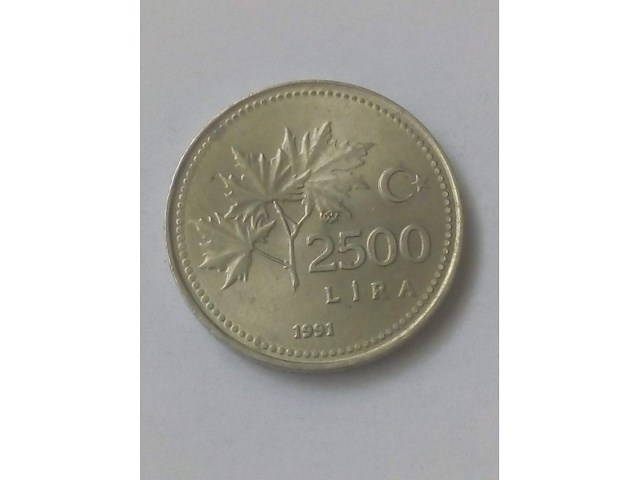 2500 Lira 1991.g - Turska -