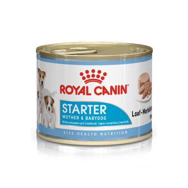 Royal Canin Starter Mousse - 195gr