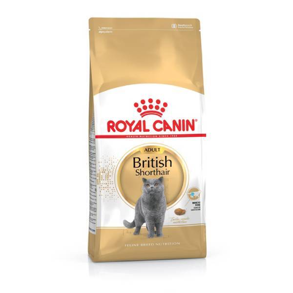 Royal Canin British Shorthair 34 - 2kg