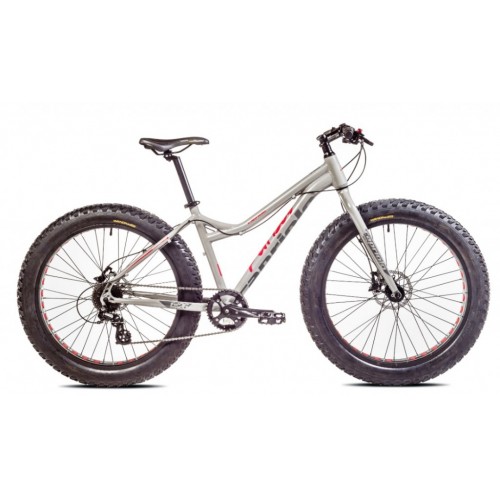 Fat bike Fat Boy 26 Alloy