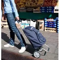 Torba za pijacu i kupovinu sa točkićima Gimi Argo Black 112029