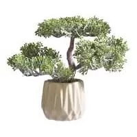 Veštačka biljka Bonsai