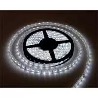 LED traka Hladno bela 60 LED/m 6W/m 5m kotur IP20 XLED2835W-60