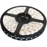 LED traka dnevno svetlo 60 LED/1m LTR3528/60W-12H 5 metara