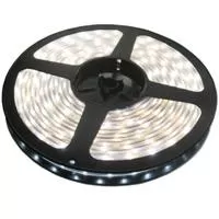 LED traka hladno bela 120 LED/1m LTR3528/120W-12 5 metara