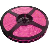 LED traka roze 30 LED / 1m LTR5050/30P-12 5 metara