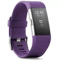 Pametni sat Activity Tracker Fitbit Charge 2 Plum Silver S