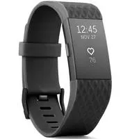 Pametni sat Activity Tracker Fitbit Charge 2 Gun Metal L