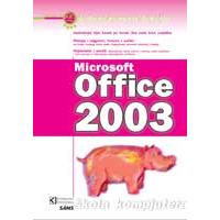 Office 2003 – za 24 časa (251)